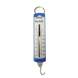 Economy Spring Scale